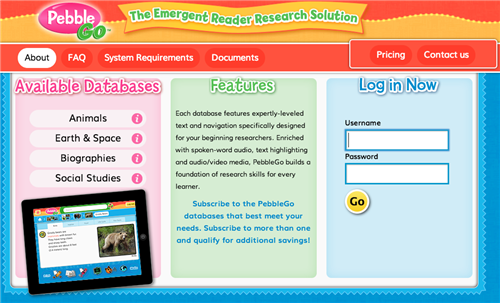 Our Center / Pebble Go